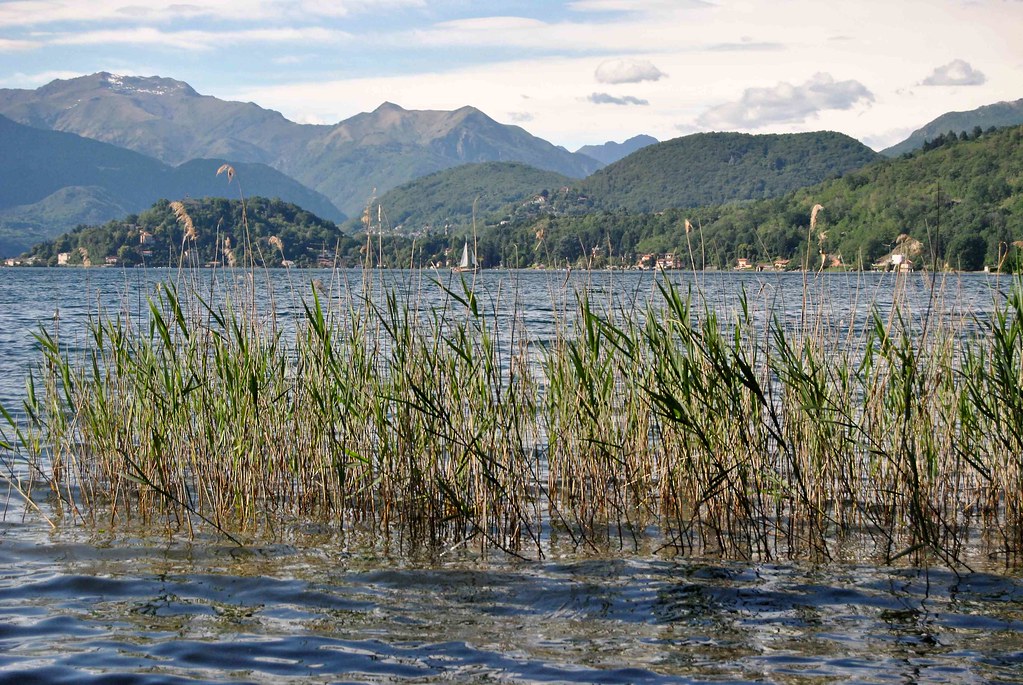 Lago d'Orta: il bacino lacustre, una ricerca svela lo stato di salute ...